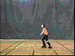 MVS 330 Project Title