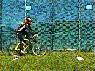 MVS 330 Project Title