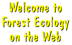 Welcome to Forest Ecology