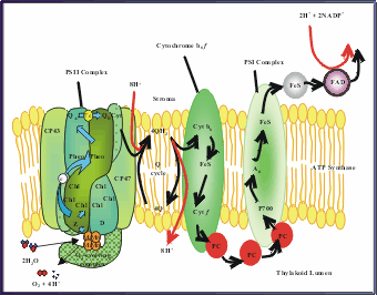 Sension_Lab - Page: 5 of 7