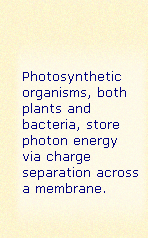 Sension_Lab - Page: 5 of 7