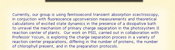 Sension_Lab - Page: 5 of 7