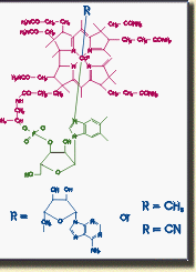 Sension_Lab - Page: 5 of 7